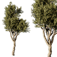 uniquevry3d's 3D Models - Download and Buy on 3dsky.org