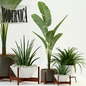 Plants collection 76 Modernica pots - Indoor - 3D model