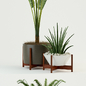 Plants collection 76 Modernica pots - Indoor - 3D model
