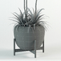 Plants collection 77 Modernica pots - Indoor - 3D model