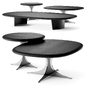 Minotti Anish Wood Coffee Tables - Table - 3D model