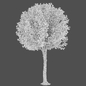 Round shape tree - Tree - 3D model
