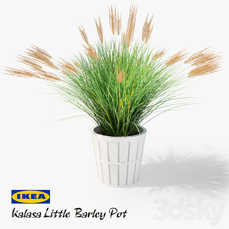 IKEA Kalasa Plant Pot and Little Barley - Indoor - 3D model