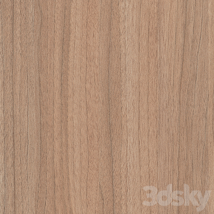 Wood Map - Wood - 3D model