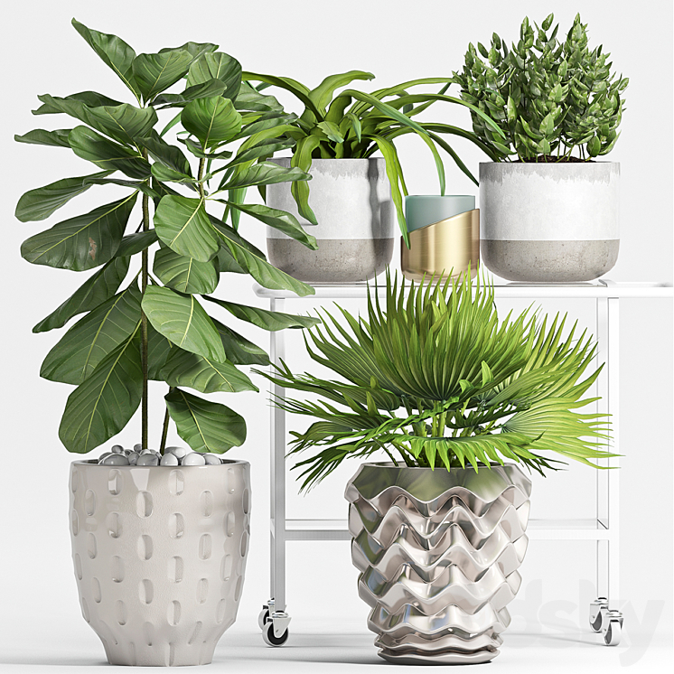 PLANT SET -59 - Indoor - 3D model