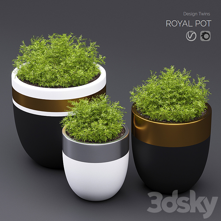 royal_pot - Indoor - 3D model