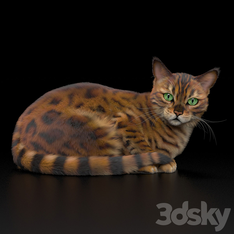 BENGAL CAT - Creature - 3D model