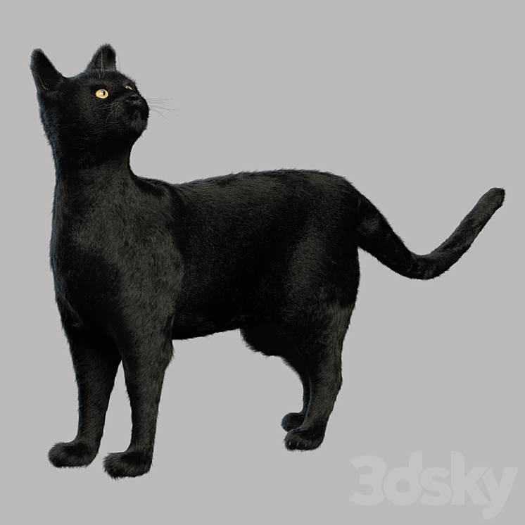Black Cat - Creature - 3D model