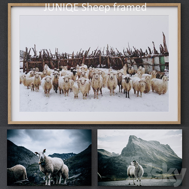 Sheep framed - Frame - 3D model