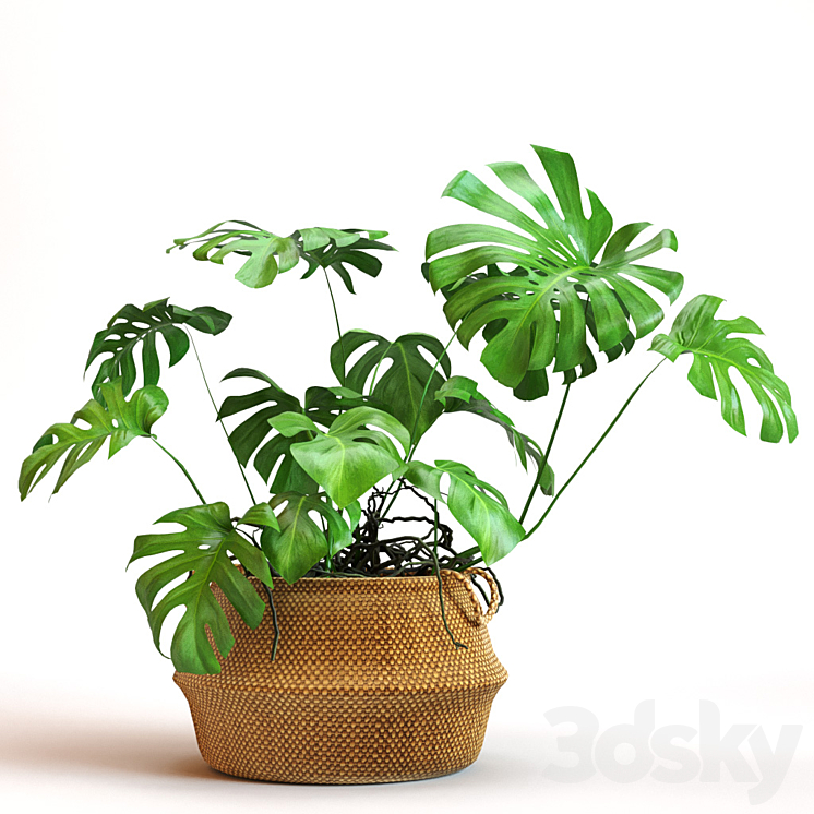 Monster - Indoor - 3D model
