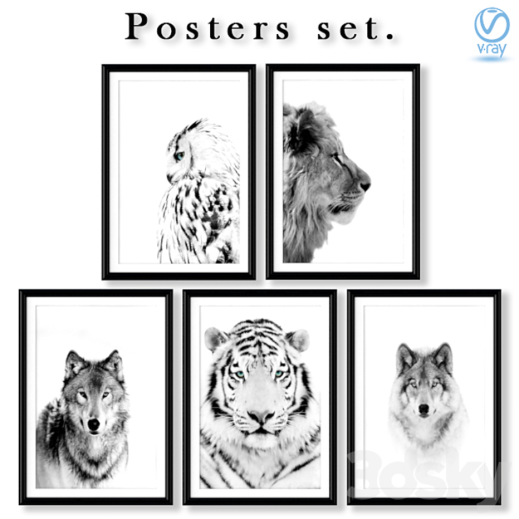 Collection of black and white posters with predators. - Frame - 3D model
