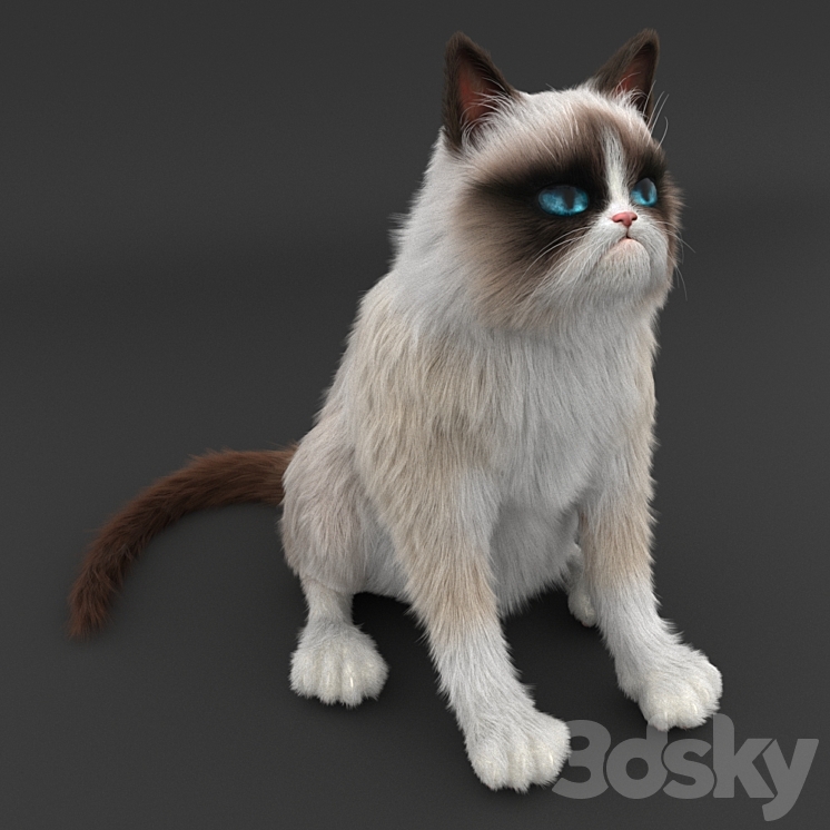 Grumpy cat contest - Creature - 3D model