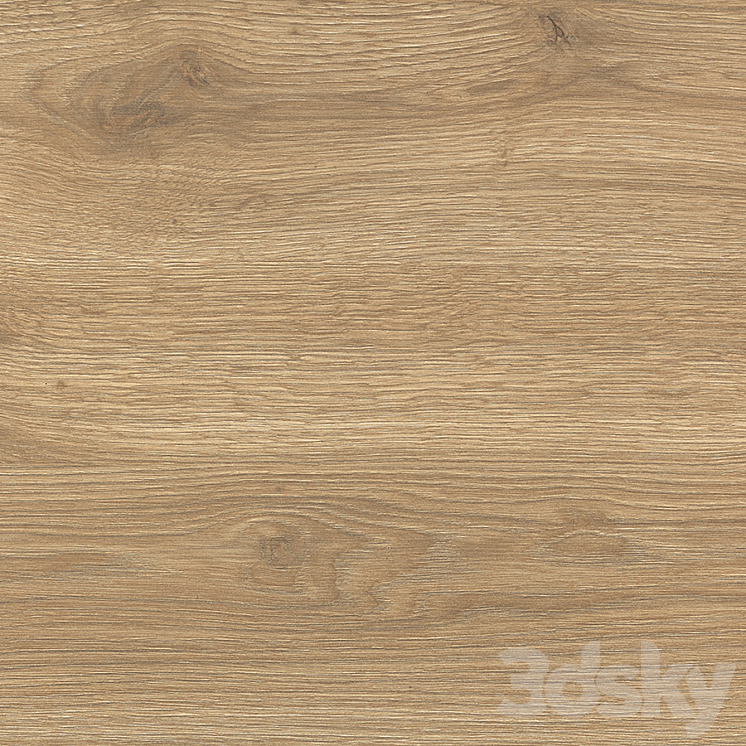 CLEAF HPL S128 Sable - Wood - 3D model