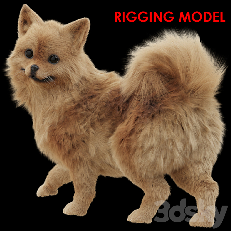 Spitz - Creature - 3D model