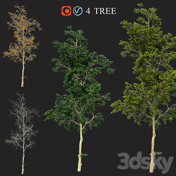 Trees-01 - Tree - 3D model