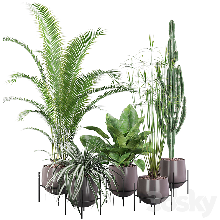 Plants collection 001 - Indoor - 3D model