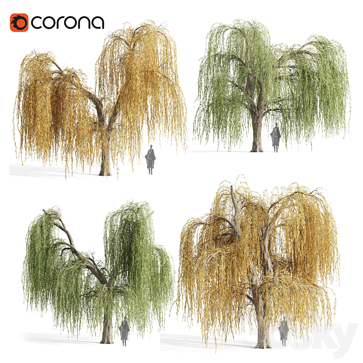 Mad weeping willow - Tree - 3D model