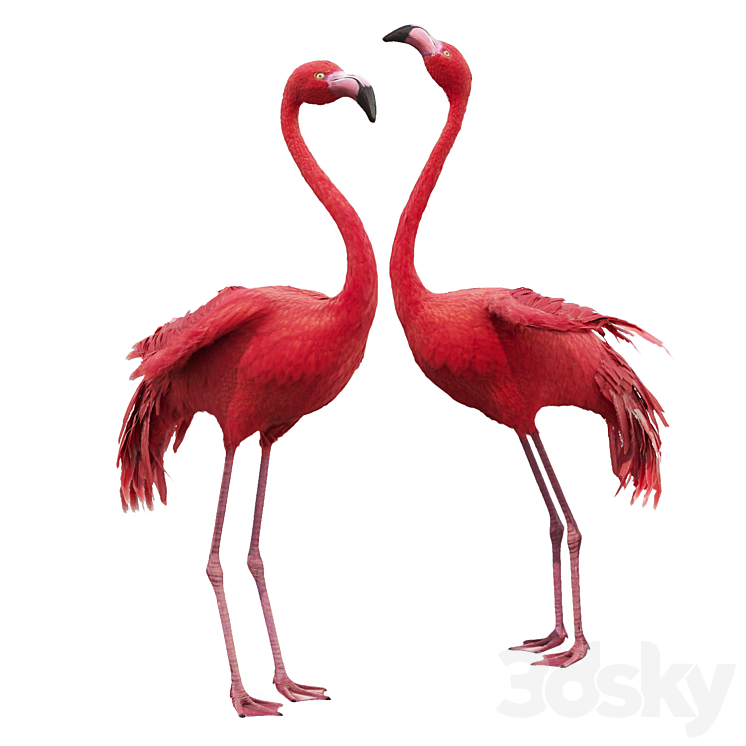 Flamingo-model - Creature - 3D model
