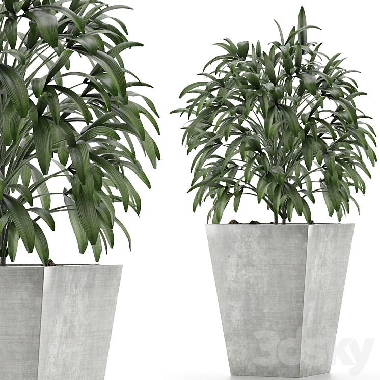Single Plant 05 - Indoor - 3D model