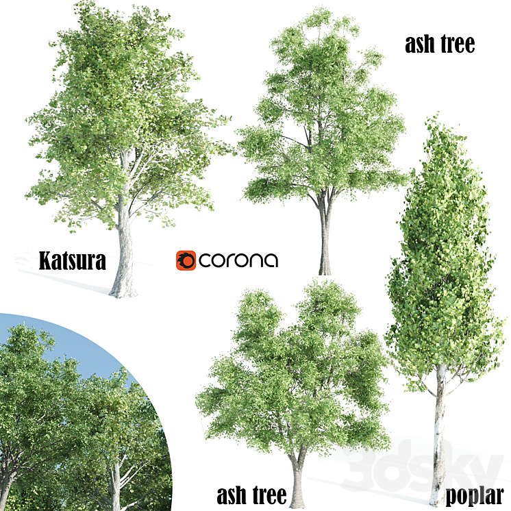 4 tree set corona - Tree - 3D model