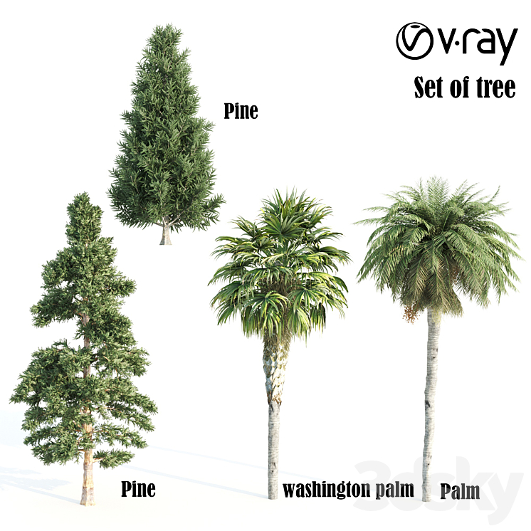 set of tree 12 vray - Tree - 3D model