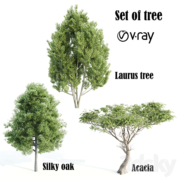 set of tree 013 vray - Tree - 3D model