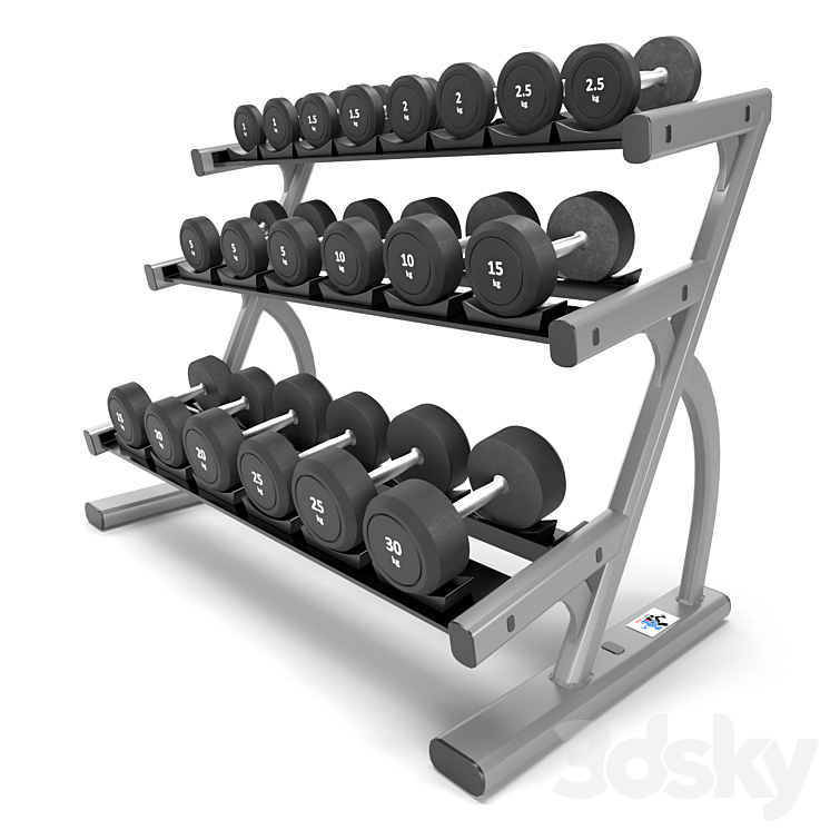 Gym-Tools-Fitness-Body-Building-set-03 - Sports - 3D model