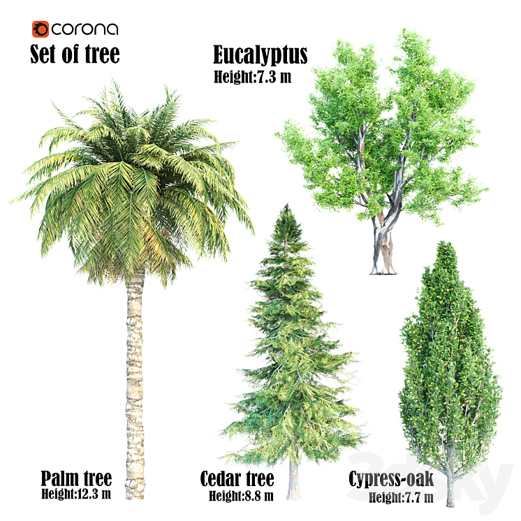 set of tree023-corona - Tree - 3D model