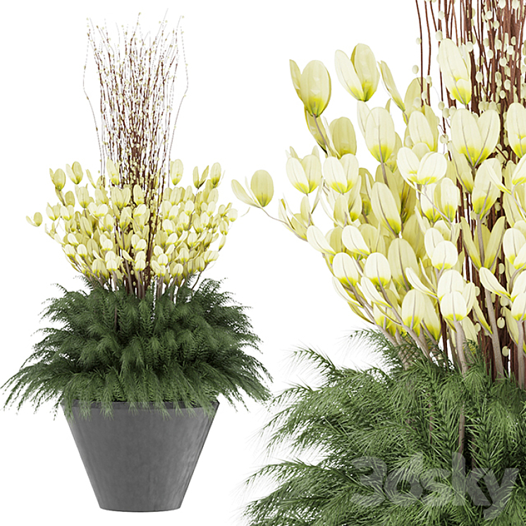 plant outdoor 001 - Indoor - 3D model