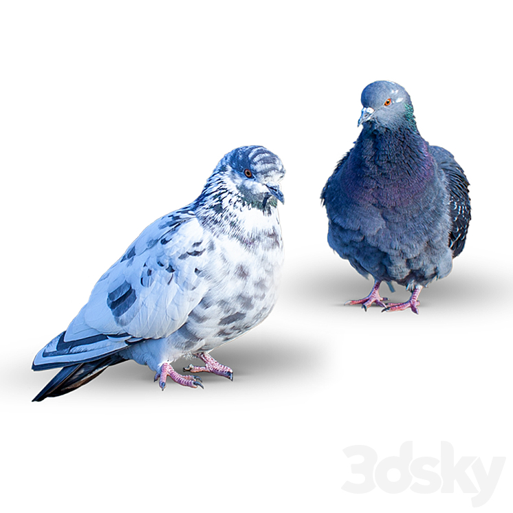 Set of 2d doves - Miscellaneous - 3D model