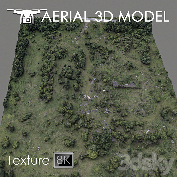 Forest 60 - Environment elements - 3D model
