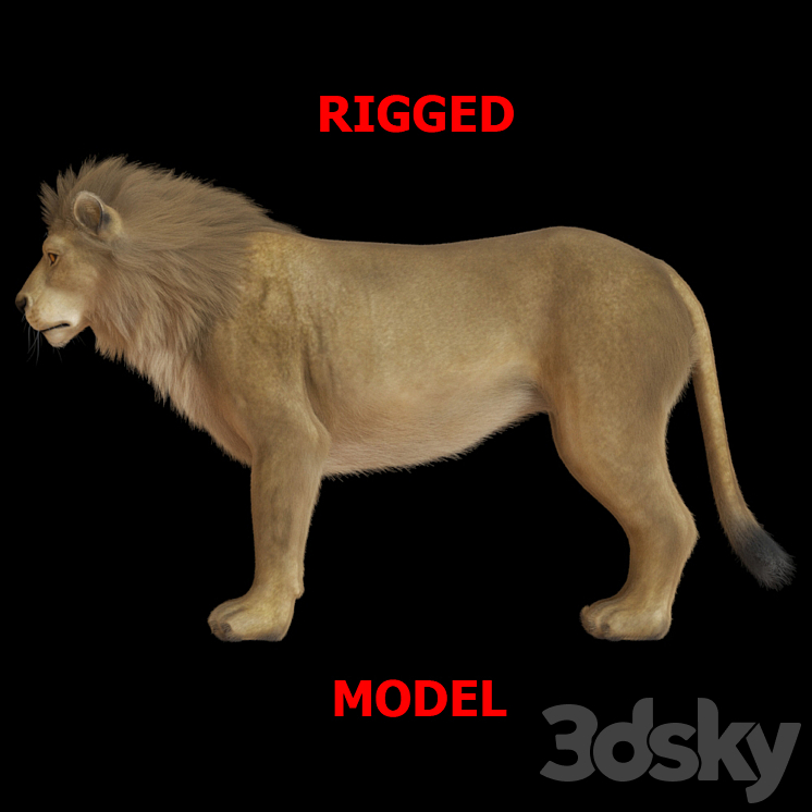 a lion - Creature - 3D model
