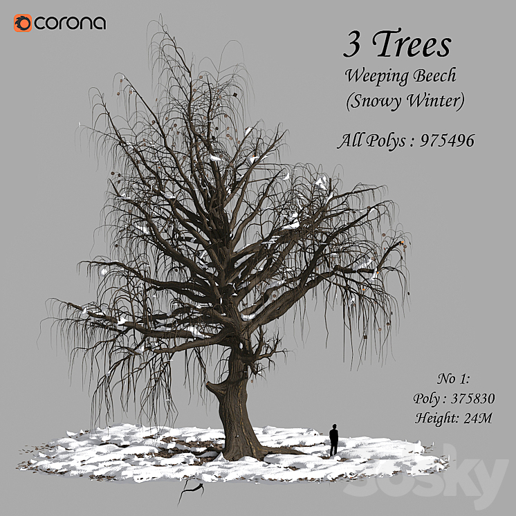 Set of Weeping Beech Tree - Snowy Winter - Tree - 3D model