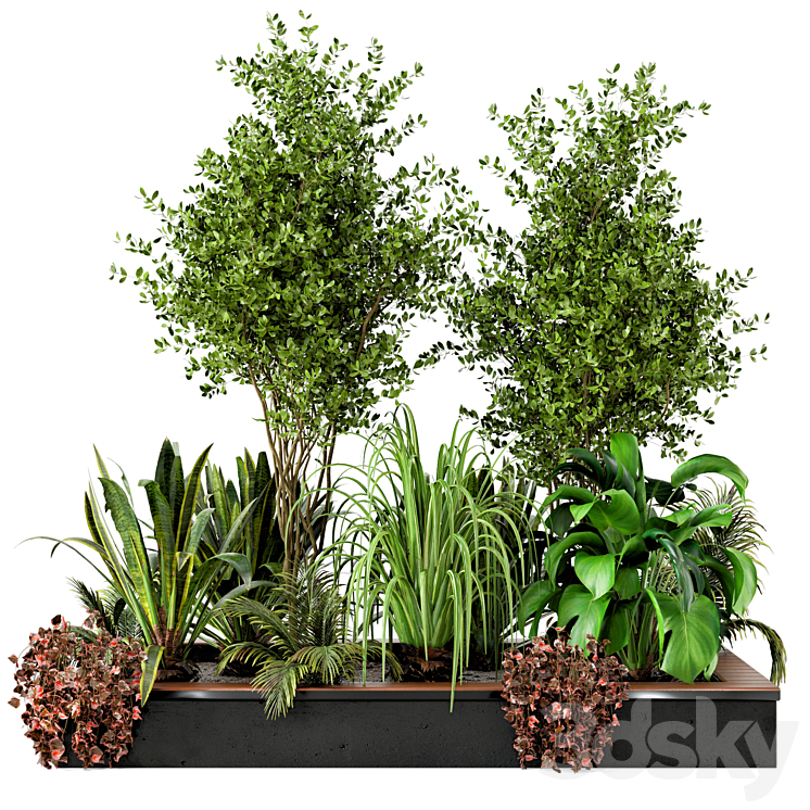 Outdoor Garden set bush and Tree - Garden Set 40 - Outdoor - 3D model