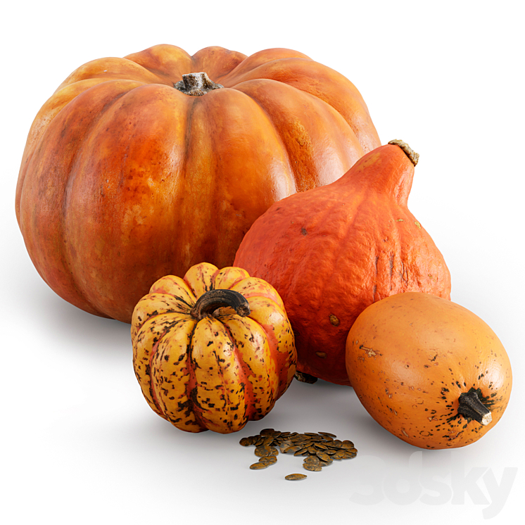 pumpkin set - Other decorative objects - 3D model