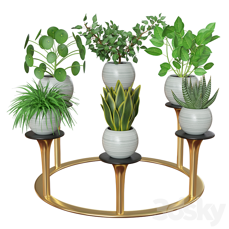 Indoor_Plants_001 - Indoor - 3D model