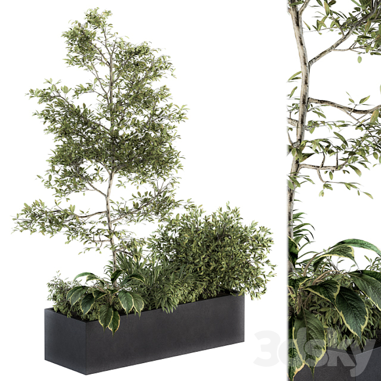 Outdoor Plant Set 222 - Plant Box with Tree - Outdoor - 3D model