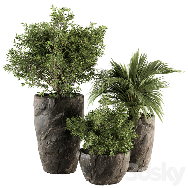 indoor Plant Set 232 - Plant Set in Rock pot - Indoor - 3D model