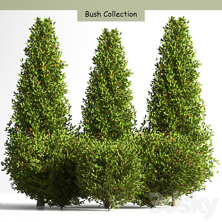 Bush collection 01 - Bush - 3D model