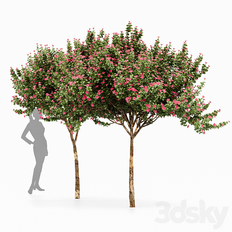 Orchid 2 Trees Fragrant Flower - Tree - 3D model