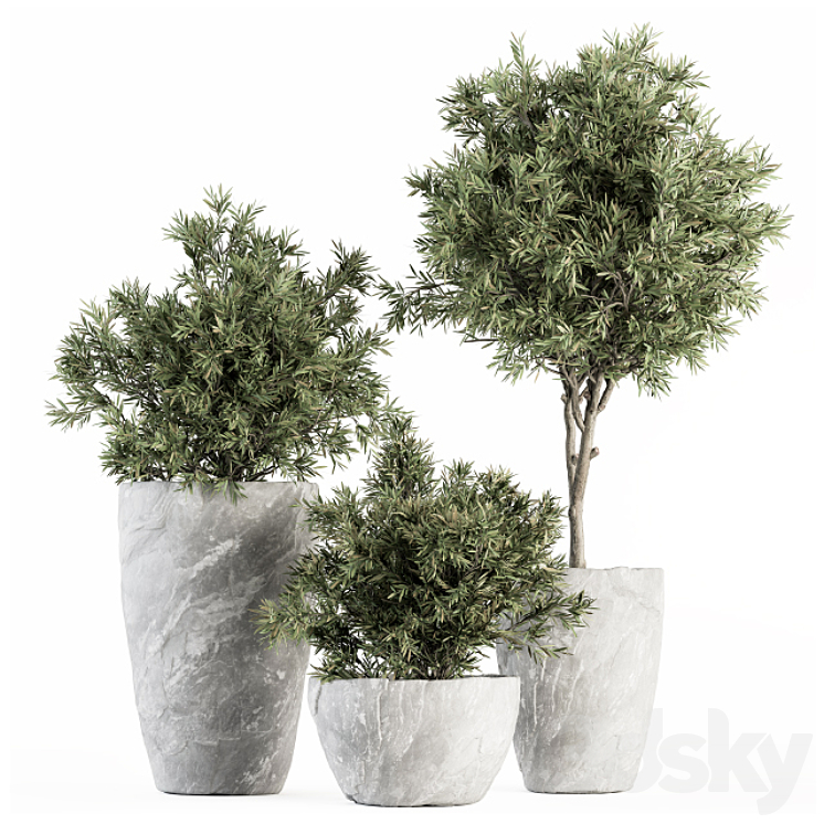 Outdoor Plant Set 266 - Plant Set in White Rock pot - Outdoor - 3D model