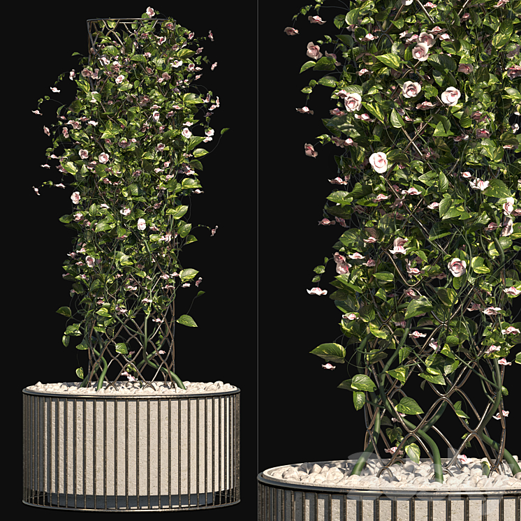 Outdoor Plant With Flowers .Vol1 - Outdoor - 3D model