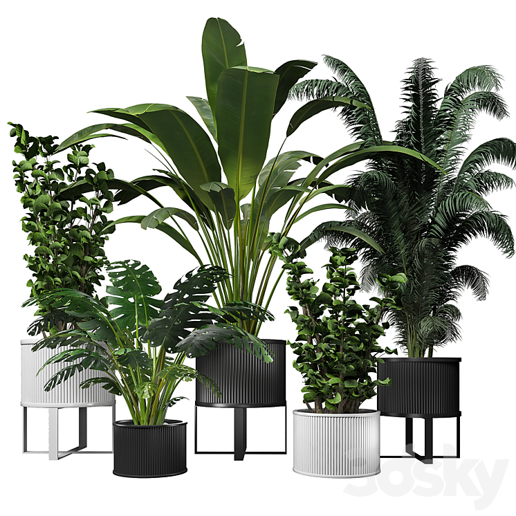 Modern collection indoor plant 001 - Indoor - 3D model
