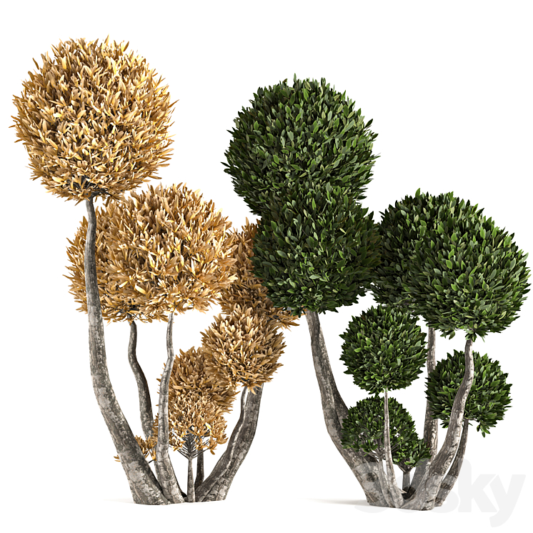 2 diffrent tree-vol 02 - Tree - 3D model