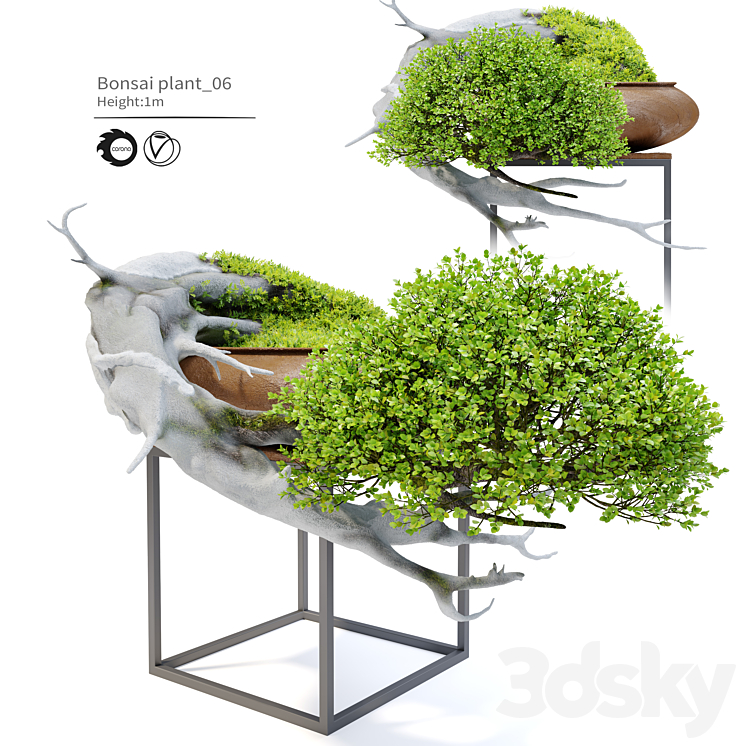 Bonsai plant_06 - Indoor - 3D model