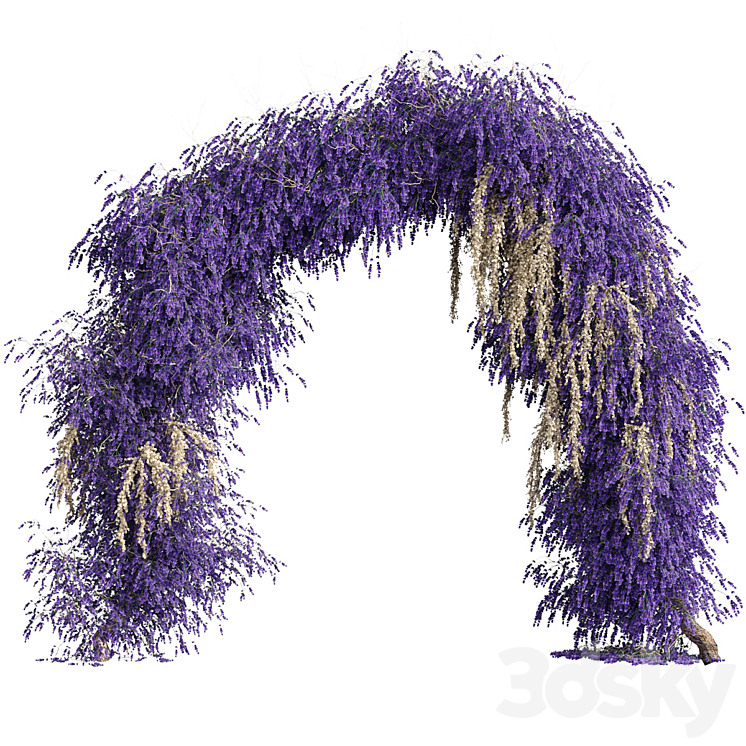 Arch of lavender flowers - Fitowall - 3D model