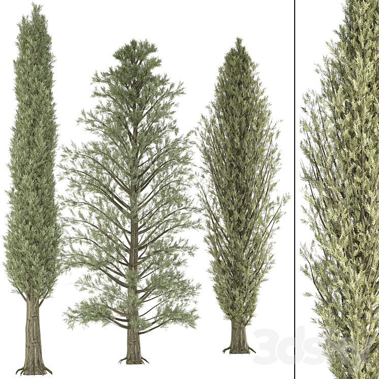 3 diffrent tree-vol 05 - Tree - 3D model