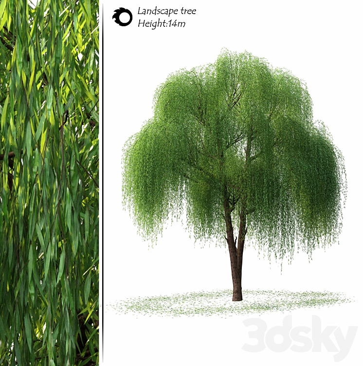 tree - Tree - 3D model