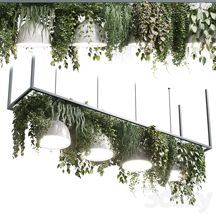 pot light - pendant plant light hanging 08 - Pendant light - 3D model