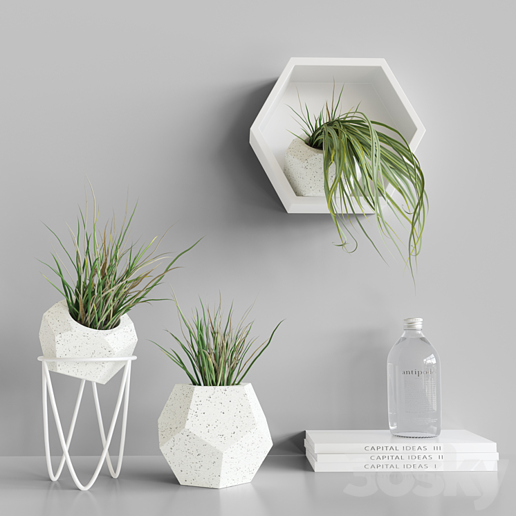 Plants in geometric pots with water and books - Decorative set - 3D model